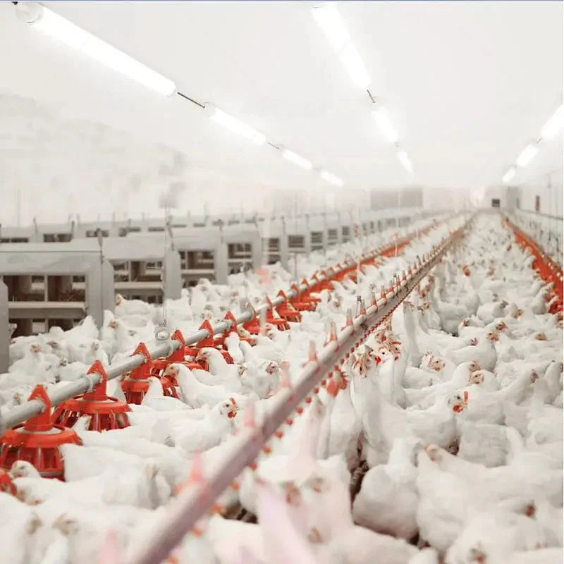 Farm Lighting UK - LED Lights for Yards, Barns, and Agriculture | Ledex ...